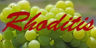 Вина Греции | Домашній виноградник